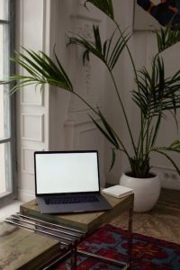 7 Day Digital Timer Switch Guide | Easy Setup Instructions